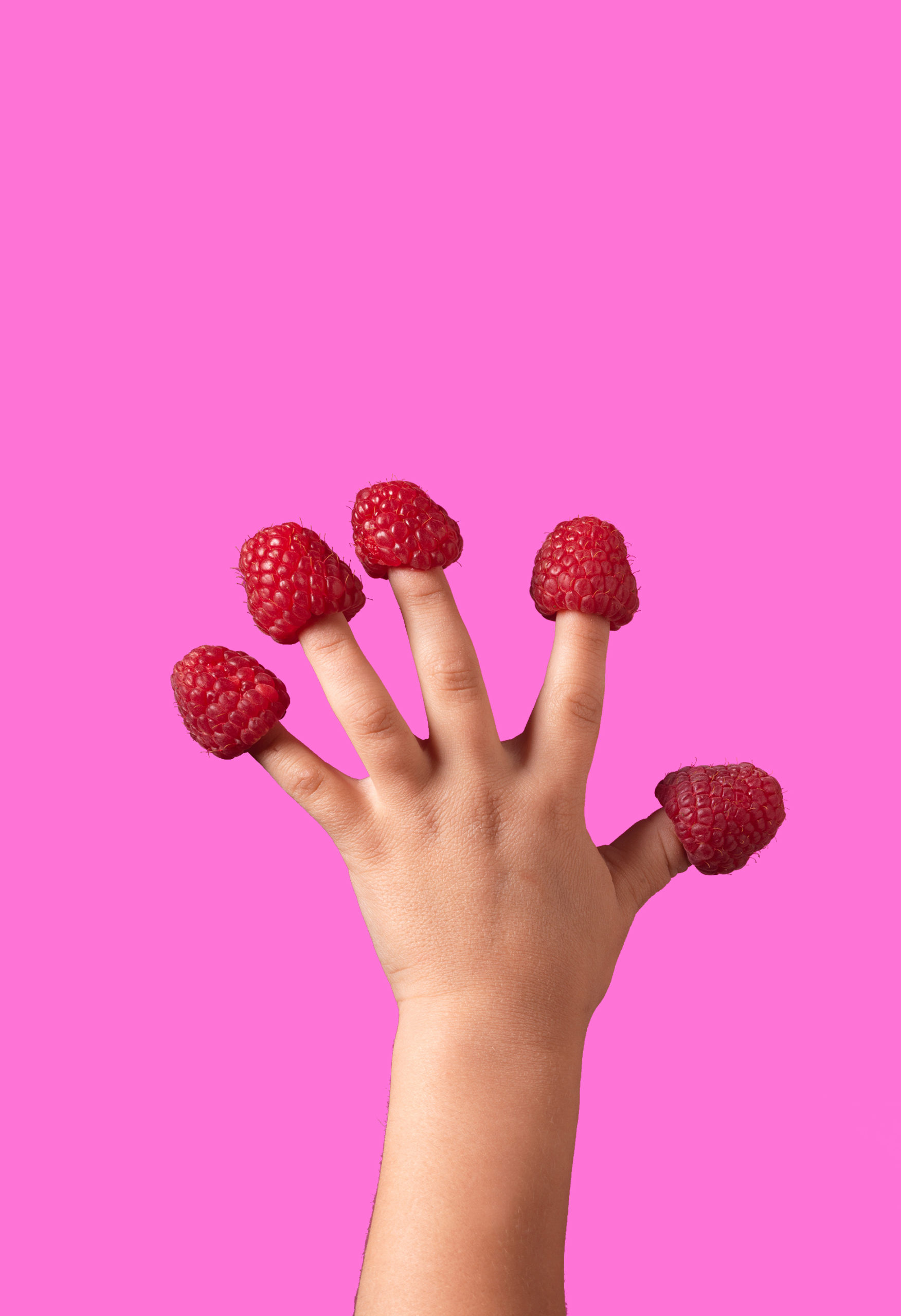 Raspberry Hibiscus Shrub - Happy Belly After